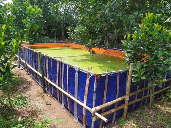 Guidelines for Constructing Tarpaulin-Lined Ponds for Efficient and ...